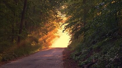 生成式 AI__InfoQ精选频道