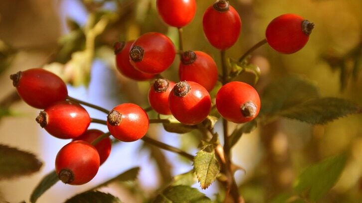 CentOS6源码编译安装Tensorflow-InfoQ